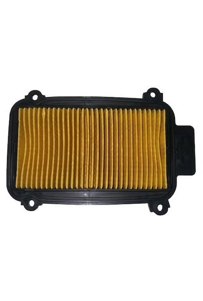 Motobisavm Ç-Hava Filtresi Hero Pleasure