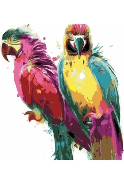 Ümraniye Hobi Sanat Sayılarla Boyama Seti - Numaralı Tuval Boyama 40X50CM - Papağan Ümraniye Hobi Sanat Sayılarla Boyama Seti - Numaralı Tuval Boyama 40X50CM - Papağan