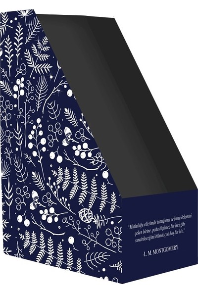 Ephesus Yayınları Emily Ciltsiz Kutu