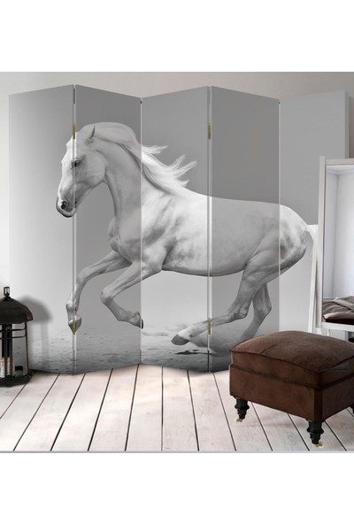 Evdion 5 Kanatlı Paravan Evdion 5 Kanatlı Paravan