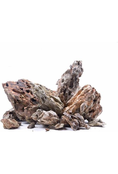 Sakura Dragone Stone S Boy