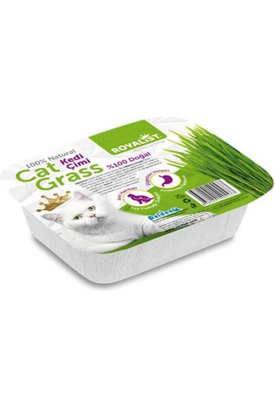 Royalist %100 Doğal Sindirimi Rahatlatıcı Kedi Çimi