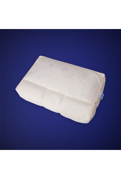 Hälsa | Dalälven Kaz Tüyü Yastık