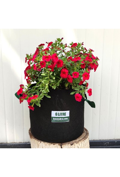6 Litre Siyah Keçe Saksı