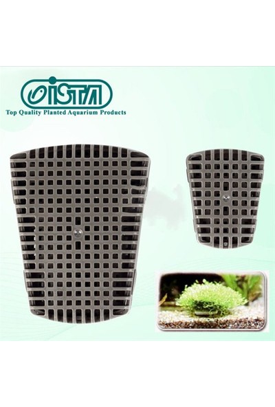 Ista Moss Tabanı Büyük Boy 4 Adet