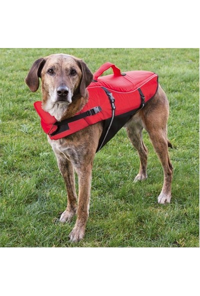 Köpek Can Yeleği 36 cm S
