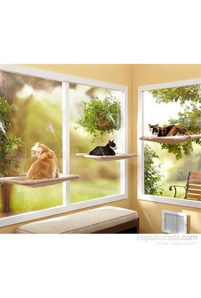 Pet Zoom Kedi Pencere Yatağı