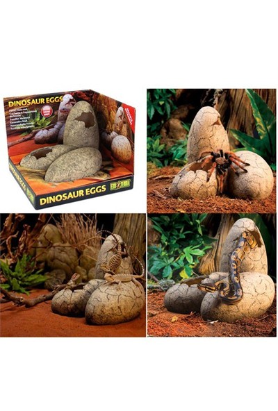 Exo Terra Dinosaur Yumurtası Şekilli Yuva Pt2841 Exo Terra Dinosaur Yumurtası Şekilli Yuva Pt2841