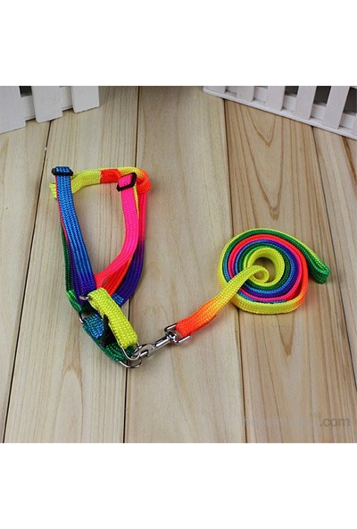 Bobo Gökkuşağı Renkli Göğüs Takım Tasma Bobo Gökkuşağı Renkli Göğüs Takım Tasma