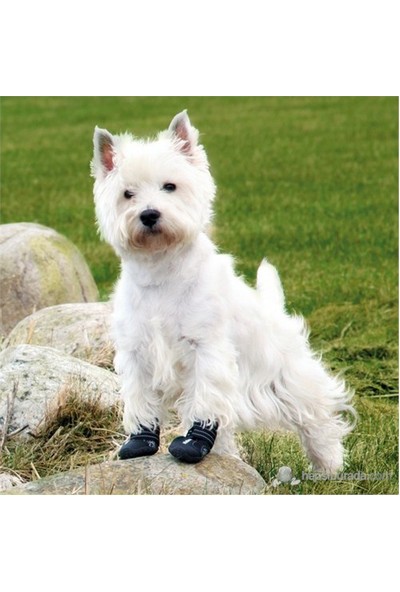 Trixie Köpek Yürüyüş Botu XSmall Siyah Renkli 2 Adet Trixie Köpek Yürüyüş Botu XSmall Siyah Renkli 2 Adet
