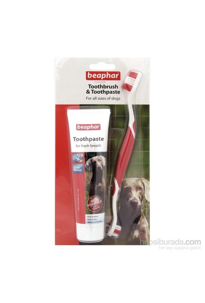 Beaphar Köpek Diş Macunu ve Diş Fırçası Seti 100 gr Beaphar Köpek Diş Macunu ve Diş Fırçası Seti 100 gr