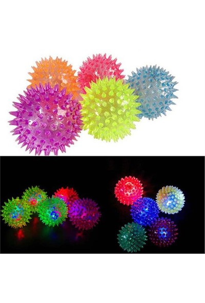 Eurostar Kedi Köpek Işıklı Oyun Topu L