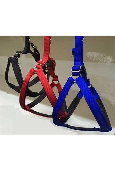 Pet Style Yumuşak Doku Bel Tasması Xlarge No:4 Pet Style Yumuşak Doku Bel Tasması Xlarge No:4