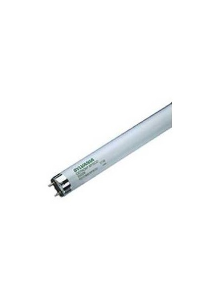 Sylvania Daylight Star T8 Akvaryum Lambası 15 Watt Sylvania Daylight Star T8 Akvaryum Lambası 15 Watt