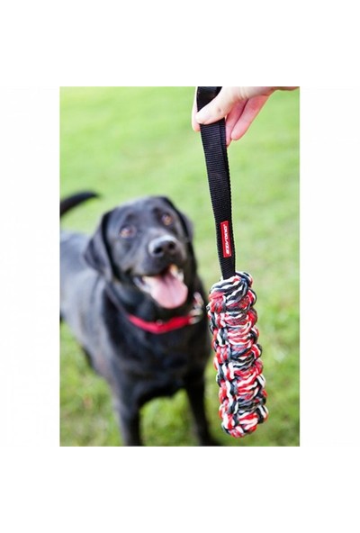 Ezydog Beaver Taıls Atma Ve Çekme Köpek Oyuncağı Small Ezydog Beaver Taıls Atma Ve Çekme Köpek Oyuncağı Small