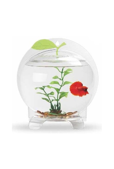 Resun Elma Şekilli Cam Fanus 21X11x22 100-Fa18 Resun Elma Şekilli Cam Fanus 21X11x22 100-Fa18