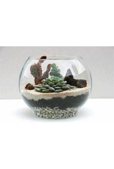 Ti-Sert Cam Fanus Küçük Sf072