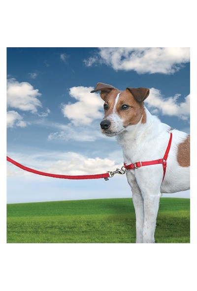 Easy Walk Harness Köpek Göğüs Tasması Medium Easy Walk Harness Köpek Göğüs Tasması Medium