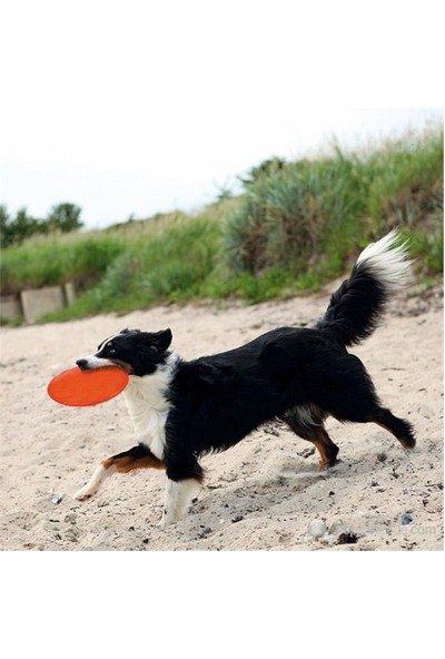 Trixie köpek yüzen termoplastik kauçuk frizbi 22cm Yeşil