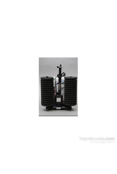 Dophin Sfp34 Motorlu Pipo Filtre