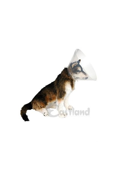 Elizabeth Köpek Yakalığı Large 24cm ø/ 44-50 cm Elizabeth Köpek Yakalığı Large 24cm ø/ 44-50 cm