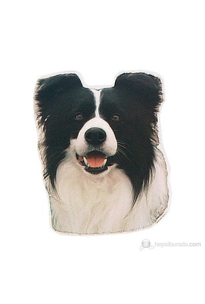 Trixie Köpek Çıkartması, Border Collie 1 Adet