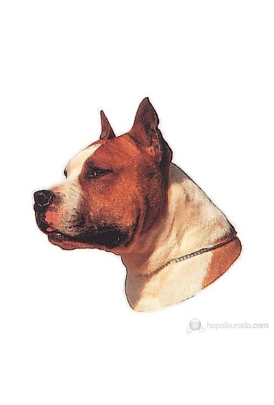 Trixie Köpek Çıkartması St-Stafford Terrier 1 Adet