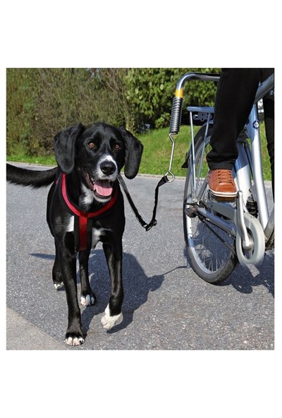 Trixie Bisiklet İçin Köpek Yürütme Aparatı