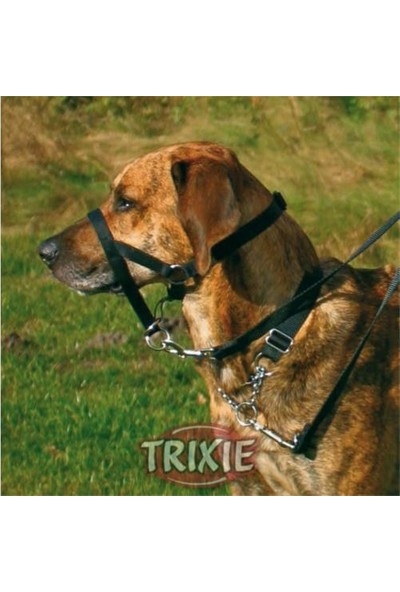 Trixie Uzman Köpek Eğitim Tasması M 27Cm Trixie Uzman Köpek Eğitim Tasması M 27Cm