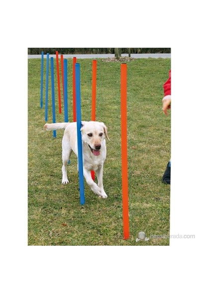 Trixie Köpek Agility Eğitim Direkleri,12ad,115×ø3cm. Trixie Köpek Agility Eğitim Direkleri,12ad,115×ø3cm.