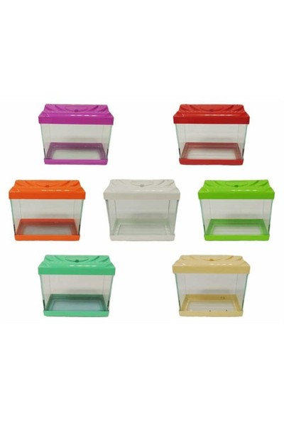 Mini Akvaryum 20 Cm X 15 Cm