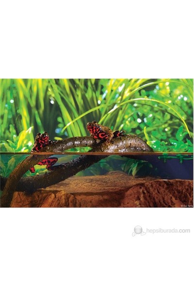 Exo Terra Sarmaşık