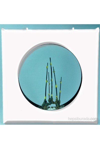 Haqos Lumboz Çerçeve Akvaryum Beyaz