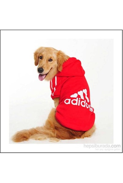 Kemique Adidog Sweatshirt Kırmızı Orta Ve Büyük Irk Kemique Adidog Sweatshirt Kırmızı Orta Ve Büyük Irk