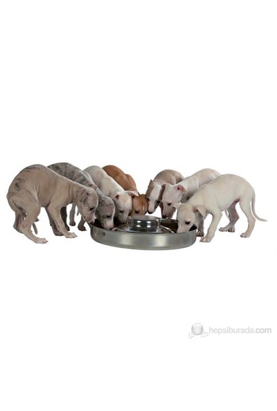 Yavru Köpek İçin Çelik Mama ve Su Kabı 1400ml 29 cm Yavru Köpek İçin Çelik Mama ve Su Kabı 1400ml 29 cm