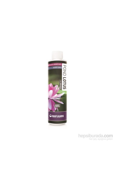 Reeflowers Pond Lotus - All Inclusive 500 Ml