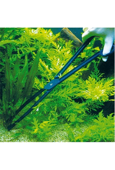 Jbl Combifix Bitki Maşası