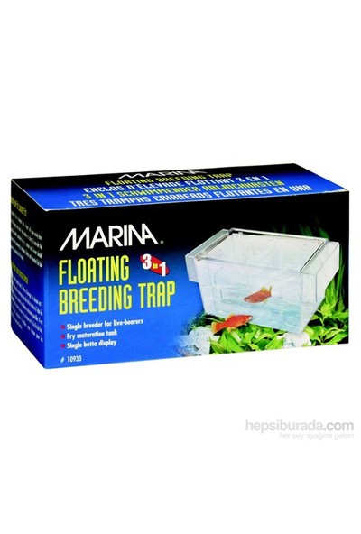 Marina Yüzen Yavruluk 3'ü Bir Arada