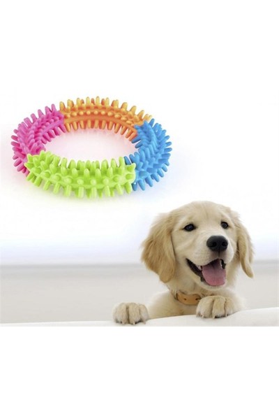 Buffer Köpek Diş Temizleyici Oyuncak