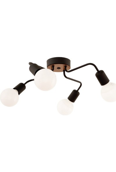 Begüsa Ahtapot 4.lü Siyah Modern Avize