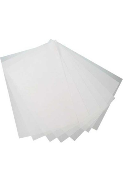 Alex Schoeller Eskiz Kağıdı 50-55 gr 50X70 cm