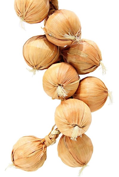 Gardenonya 10 Adet Yapay Kahverengi Soğan Yapay Sebze Meyve Dekoratif Ürünler Gardenonya 10 Adet Yapay Kahverengi Soğan Yapay Sebze Meyve Dekoratif Ürünler