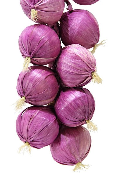 Gardenonya 10 Adet Yapay Mor Soğan Yapay Sebze Meyve Dekoratif Ürünler Gardenonya 10 Adet Yapay Mor Soğan Yapay Sebze Meyve Dekoratif Ürünler