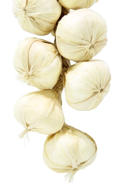 Gardenonya 12 Adet Yapay Sarımsak Yapay Sebze Meyve Dekoratif Ürünler