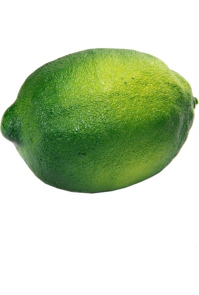 Gardenonya Yapay Limon Yeşil 1 Adet Büyük Boy Yapay Meyve Dekoratif Ürünler