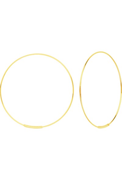 Altın Sepeti Altın Halka Tel Küpe AS19499F21