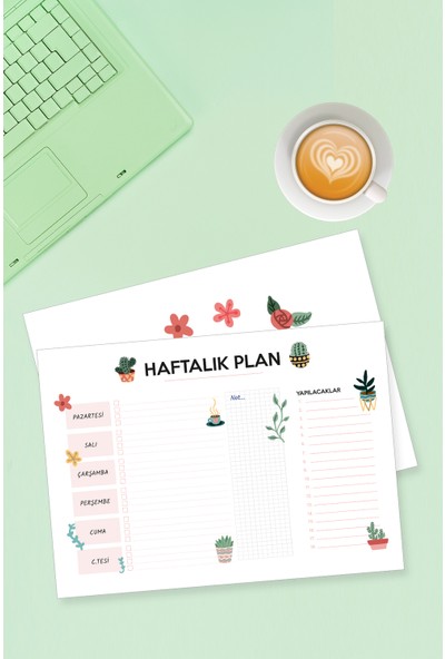 Hediye Burada Haftalık Plan Defteri Kaktüs PNLD3019