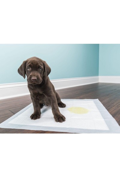 Onlyone Kedi Köpek Çiş Pedi 30 Lu