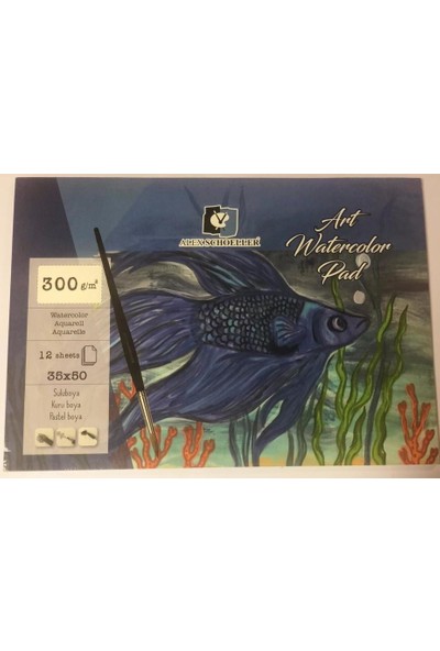Alex Schoeller Watercolor Pad 35 x 50 cm 12SF 300 gr