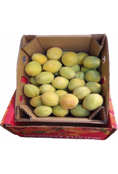 Yöresel Katkısız Ürünler Yaş Kayısı 2 kg